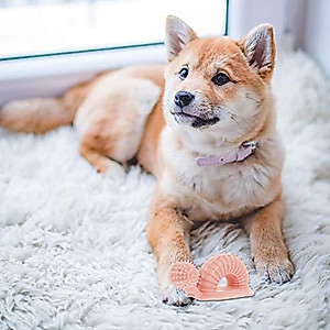 pet Teething Toys Dog Teeth Cleaning Toy Puzzle Toys Puppies Toys Dog Molar Toy Puppy Dog Toothbrush Toy Dog Dental Care Toy Dog Teeth Grinding Toy Missing Food TPR Indestructible