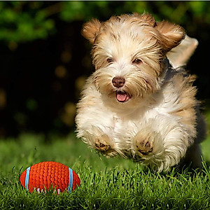 balacoo Chew Toys Pet Toys Dog Sound Toy Pet Sound Toy Pet Supplies Medium Dog