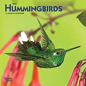 Hummingbirds 2021 Calendar: Foil Stamped Cover