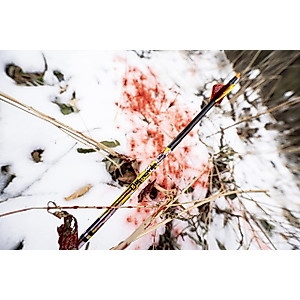 Carbon Express D-STROYER 400 6PK