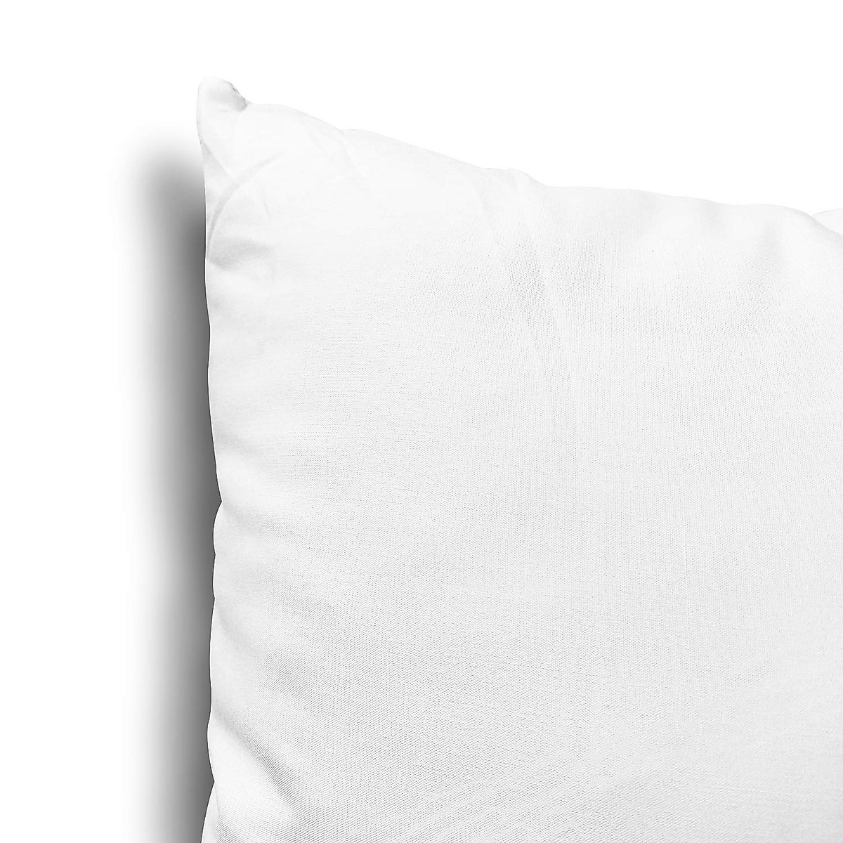 EDOW Throw Pillow Insert, Lightweight Soft Polyester Down Alternative Decorative Pillow, Sham Stuffer, Machine Washable. (White, 18x18)