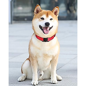 Joytale 2 Pack Airtag Dog Collar Holder, Elastic Silicone Air Tag Holder for Dogs and Cats, Light and Durable Apple Airtag Holder with Slide-On Loop(Black/Green)