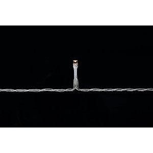 Novolink 100-Light LED Warm White String Light