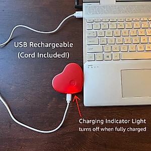 Pet Fit For Life Rechargeable Heart Beat Simulator with USB Cord - Reduce Pet Anxiety with This Heartbeat Sound Machine - Your Cat, Kitten, Dog, or Puppy Will Love It