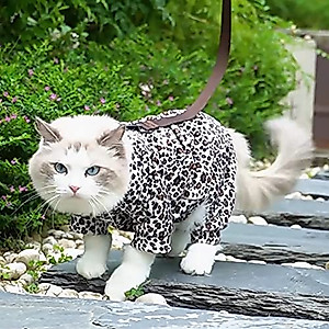 Anelekor Leopard Print Small Dogs Pajamas with Leash Hole Puppy Warm Clothes Pet Full Coverage Dog Pjs Doggy Winter Coat Warm Jumpsuit for Cats XS Dogs (A, Medium)