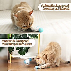CZPET Cat Toys Kitten Jump Exercise Interactive Replaceable Elastic Automatic Toy Funny Cat Teaser Various Developmental Puzzle Toys Feather Mouse