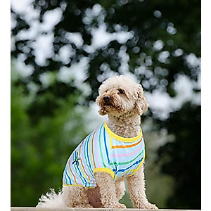 Phiyolin 2-Pack Dog Shirts Striped Stretch Dog T-Shirts for Small and Medium Dogs,Quick Dry Breathable Pet Clothes（M,Blue）