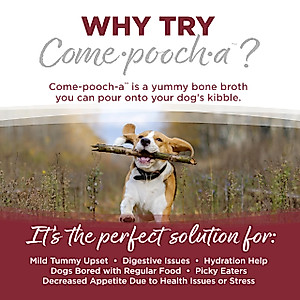 NutriSource Come-Pooch-A Beef Bone Broth for Dog Kibble 12 Ounce (Pack of 2)