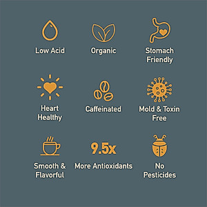 Healthy Bean Coffee - Low Acid Coffee, Superfood Infused Whole Bean Coffee, USDA Organic, Mycotoxin Free, Semi-Dark Roast, 10oz