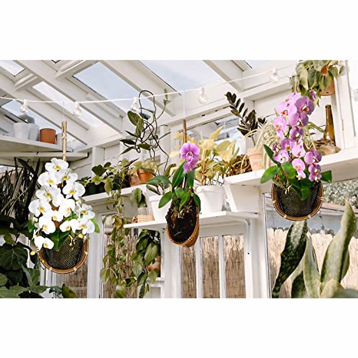 PANWA Handmade 100% Thai Bamboo Woven 4 Inch Hanging Orchid Basket - Set of 3 Multi-Purpose Bird Nest Style Plant Hangers for Gazebo - Indoor/Outdoor Flower Planter (Natural Brown)