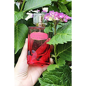 Catherine Malandrino Catherine Malandrino Special Moments Eau de Parfum Gift Set, 3.4 fl. oz.