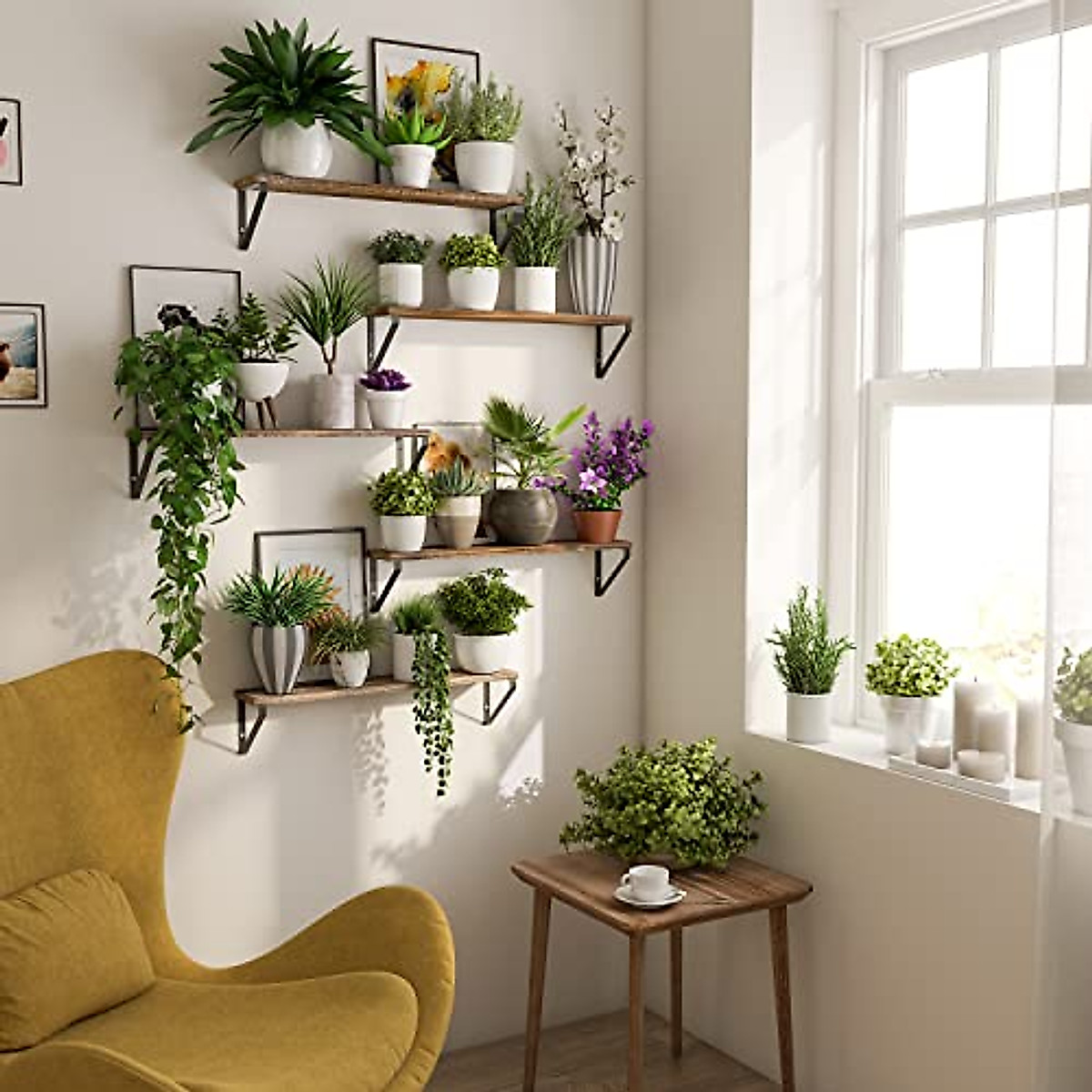 Wallniture Ponza 24" Floating Bookshelf, Wood Floating Shelves for Wall Storage, Rustic Wall Shelves for Bedroom, Living Room, Bathroom, Kitchen Set of 5