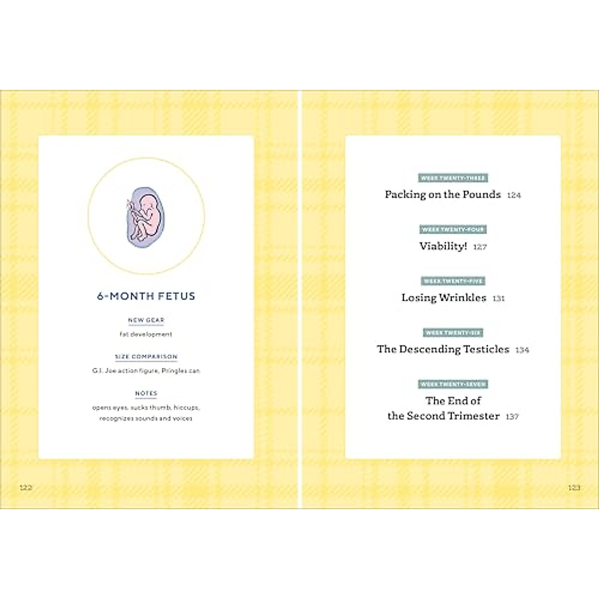 We're Pregnant! The First Time Dad's Pregnancy Handbook