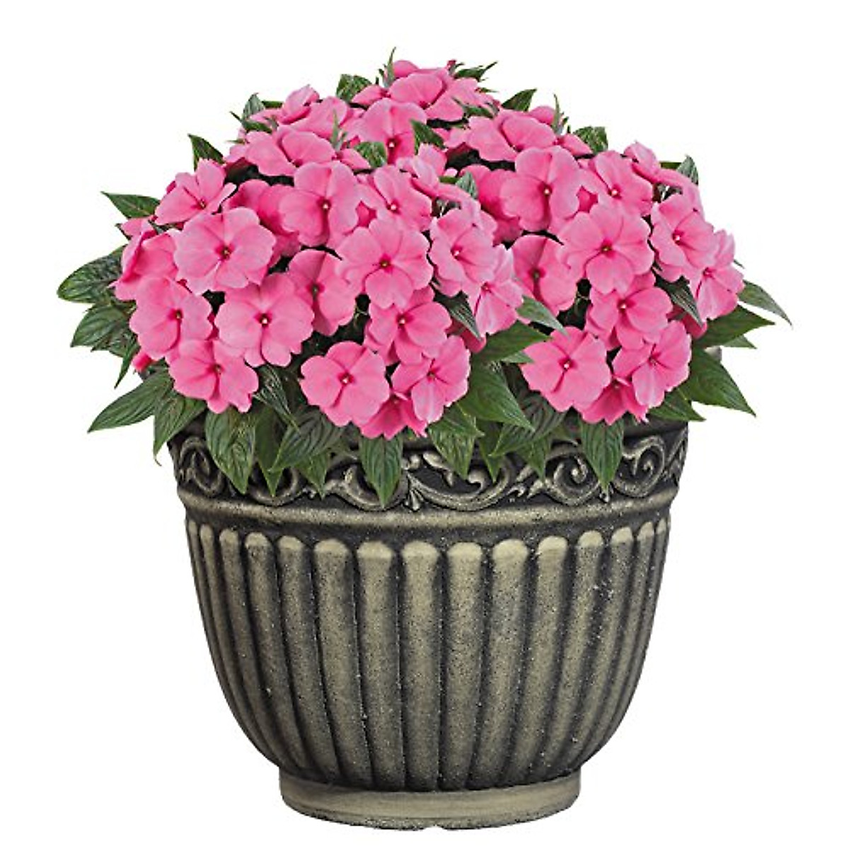 Classic Home and Garden 9475-060 Umbria Planter, 12" Planter, Ivory Ash