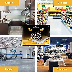 KINGMAN PRIME Sticky Cardboard Rat Mouse Rodent Glue Trap Extra Large Size with Professional Strength Adhesive (24 Traps)