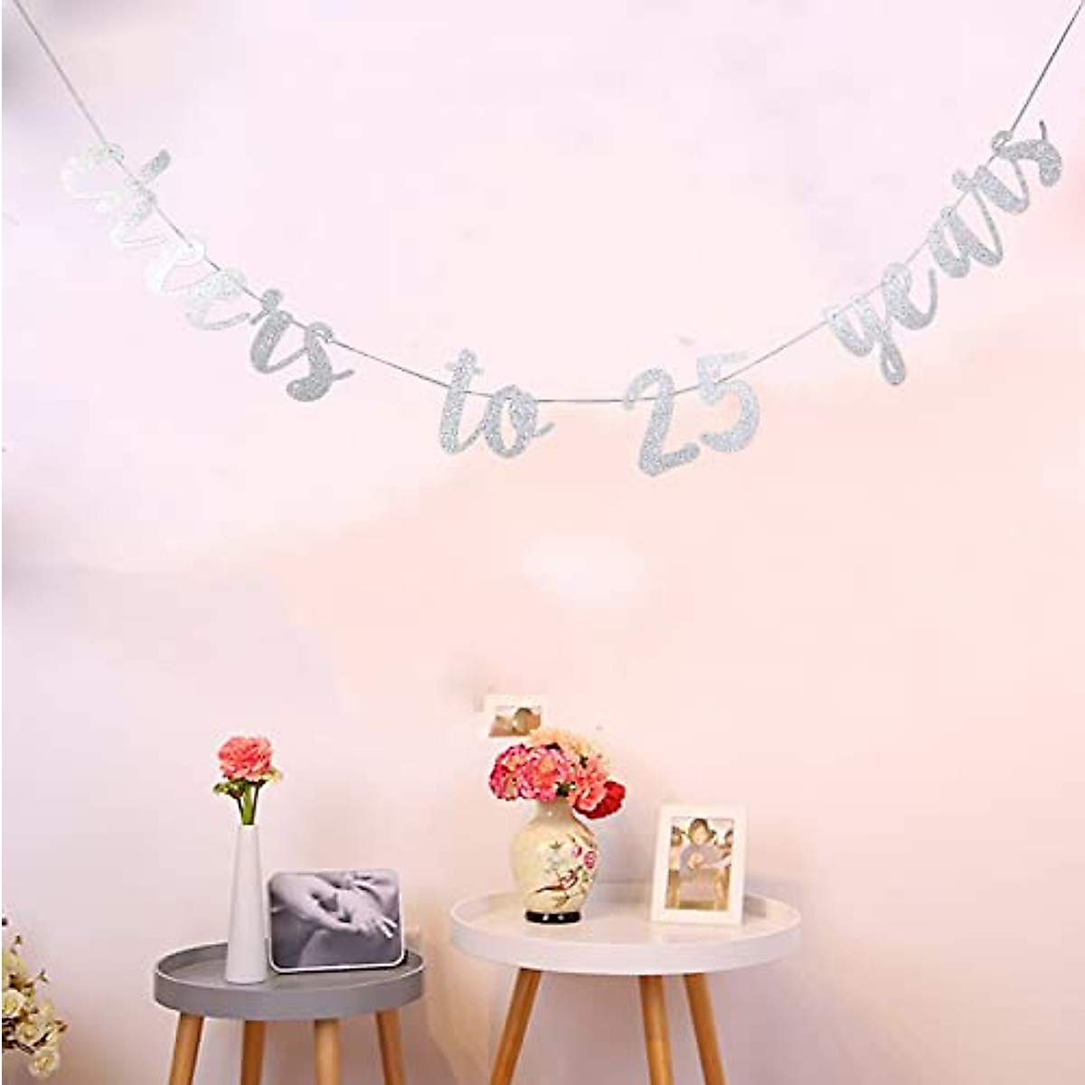 StarsGarden Cheers to 25 Years Banner – It's My Funny Fabulous 25 Banner -25th Birthday Banner Decorations - Finally 25 Milestone Happy Birthday Decorations(Silver 25) (SG-22NP458)