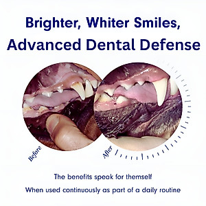 Baaww Dog Dental Powder - Dog Teeth Cleaning Made Easy – Plaque & Bad Breath - Formulated for All Dogs 2.82OZ 80 Gram Pack