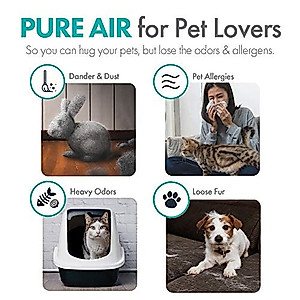 Alen BreatheSmart FLEX HEPA Air Purifier, Medical Grade Filtration H13 True HEPA for 700 SqFt, 99.9% Airborne Particle Removal, Air Purifier for Allergens, Dust, Mold, Pet Dander, (Brushed Stainless)
