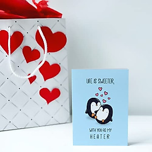 ALY LOU Funny Anniversary Card Birthday Card for Her Him / Husband Boyfriend / Girlfriend Wife / Sarcastic Greeting Card (Life Is Sweeter With You As My Heater)