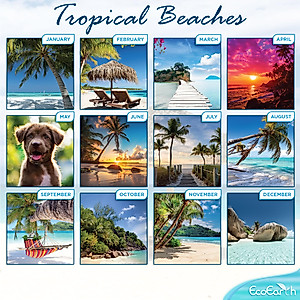 EcoEarth Biodegradable 11x22 Inch (Open) 18-Month Vertical Hanging Wall Calendar, Jul 2023 - Dec 2024 Monthly Calendar, Tropical Beaches