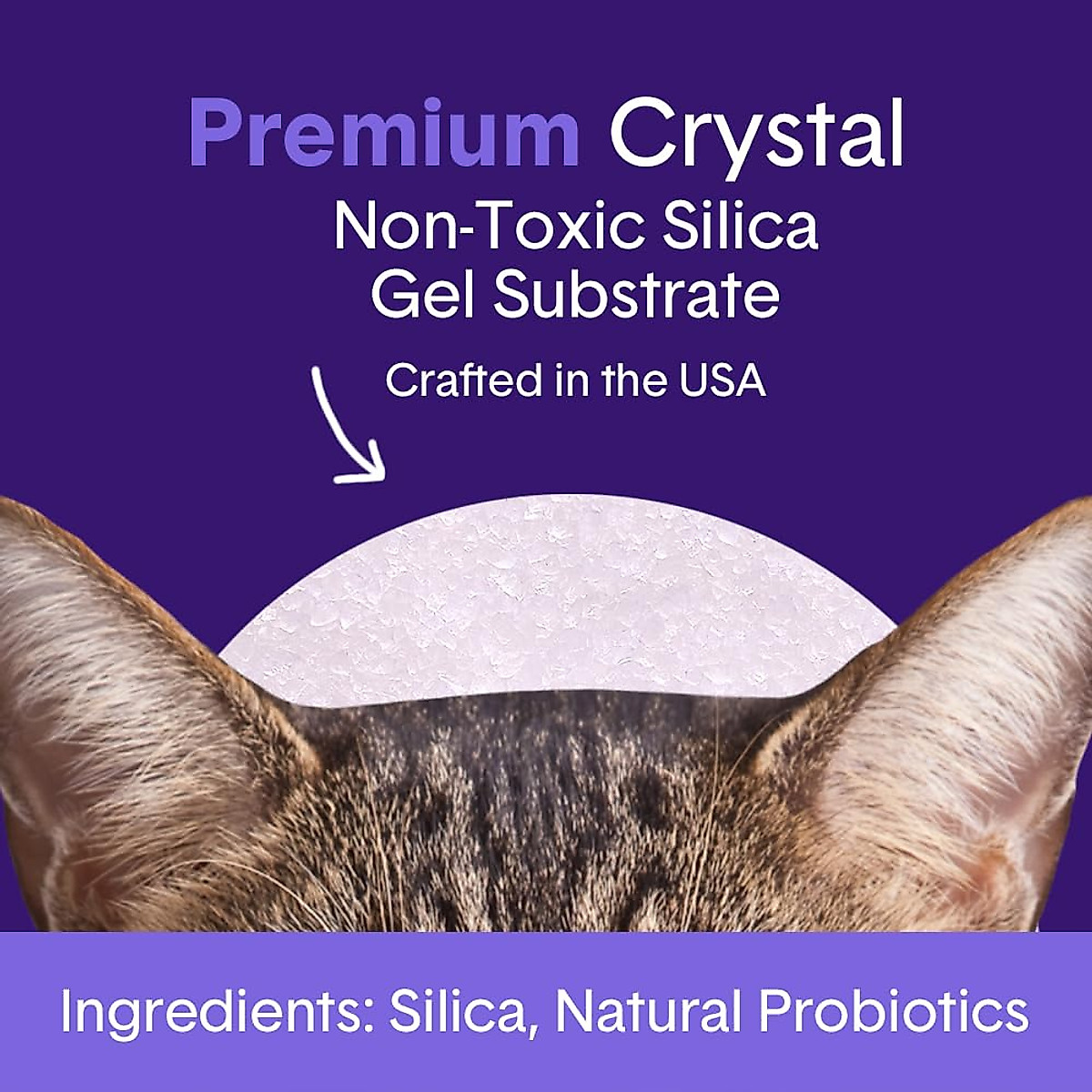 Boxie® Pro™ 40 Day Probiotic Odor Control Non-Clumping Crystal Cat Litter, 6 lb, Self-Cleaning, MicroDry™ Crystals, 99.9% Dust-Free, Long-Lasting, Health Benefits for Multi-Cat Homes
