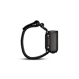 Garmin 010-01772-00 Foretrex 601, 2 inches