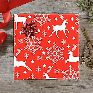 OTVEE 3 Rolls Birthday Wrapping Paper Roll - Christmas Deer and Snowflakes Design Gift Wrapping Paper for Christmas, Bridal, Holiday, Party, Baby Shower - 58 x 22.8 inch