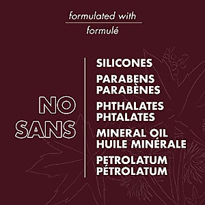 SheaMoisture Styling Strong Hold Styling Gel for Natural, Chemically Processed or Heat Styled Hair Jamaican Black Castor Oil and Flaxseed Paraben-Free Anti-Frizz Hair Gel 15 oz