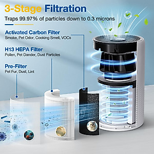 D10 Replacement Filter Compatible with Tailulu D10 HEPA Air Purifier, 3-in-1 H13 Grade True HEPA Replacement Filter, 360 Rotating D10 Filter, 2 Pack