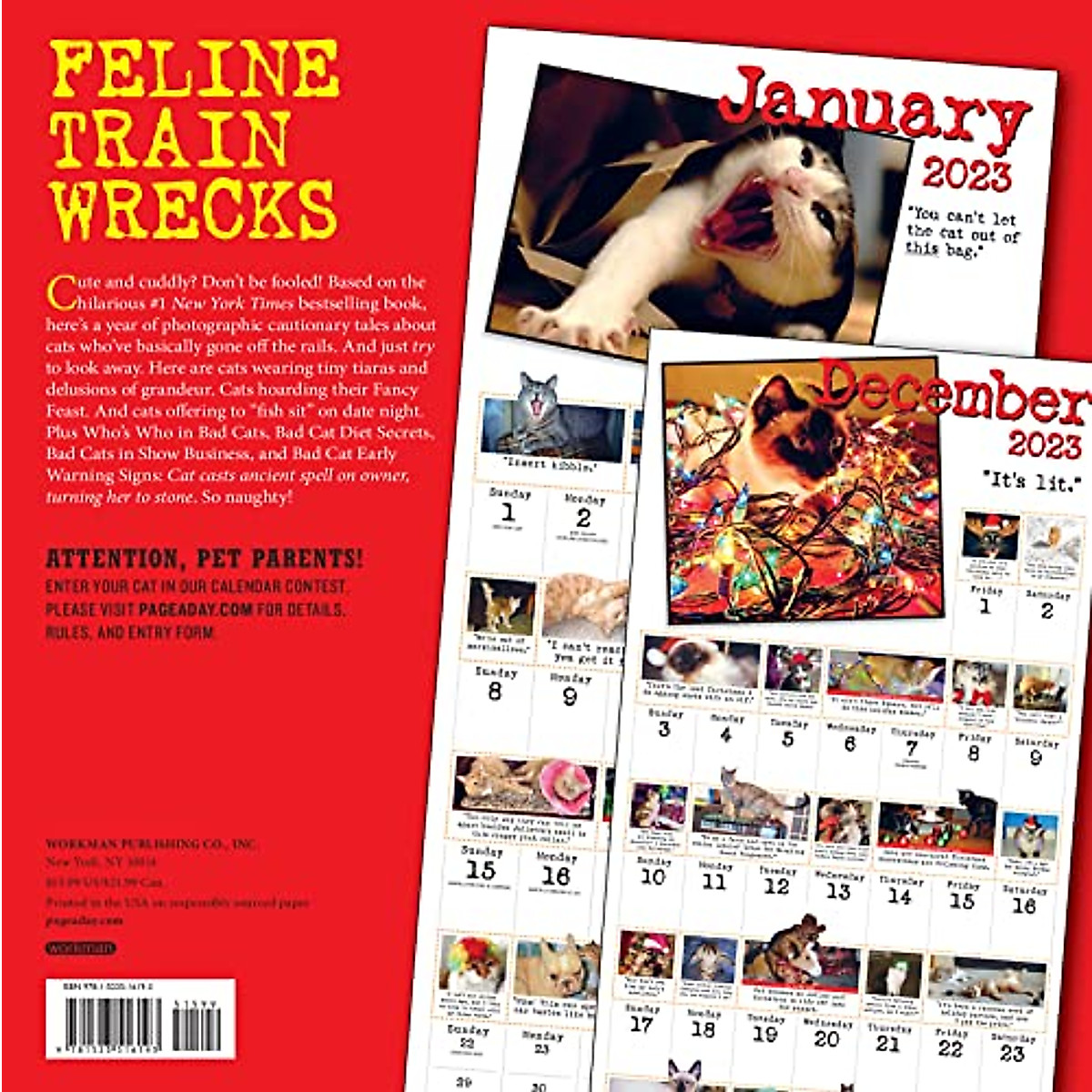 Bad Cat Wall Calendar 2023: Celebrating the Misfits of the Feline World