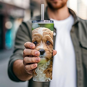 Cavapoo Dog Puppy Photo Skinny Tumbler 20oz with Straw Insulated Water Bottle Gift