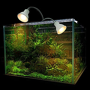 ACKE-Grow-Light-Plant-Light Sunlike Gooseneck Growing Lamps Dual Head with Clamp for Indoor Plants…