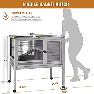 Rabbit Hutch Indoor, Bunny Cage Pet House for Small Animals Guinea Pig Cage on Wheels - Removable Wire Mesh