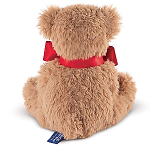 Vermont Teddy Bear I Love You Teddy Bear - Bear Plush Rose Bouquet 13 Inch