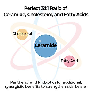 numbuzin No.2 Creamy 43% Protein Serum | Protein Cream Serum with Oat Protein, Ceramide, Panthenol for Skin Barrier | Korean Skin Care for Sensitive, Loose Skin | 1.69 Fl Oz