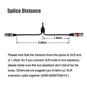 Mugteeve 3.5 mm to Dual XLR Male Y Splitter Cable, 6.6 Feet Stereo 1/8 Mini TRS Headphone Jack to L/R Double XLR Male Aux Cord, Noise Free, Nylon Braided, for Studio Monitor Speaker and Phones
