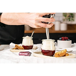 iSi North America North America 8.4g Cream Chargers - Pack of 10 - Non-Threaded Cream Whipper Charger Cartridges