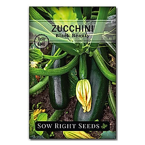 Sow Right Seeds - Zucchini Squash Seed Collection for Planting - Black Beauty, Cocozelle, Grey, Round, and Golden - Non-GMO Heirloom Packet to Plant a Home Vegetable Garden - Productive Summer Squash