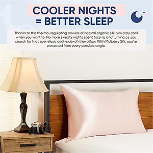 Blissy Silk Pillowcase - 100% Pure Mulberry Silk - 22 Momme 6A High-Grade Fibers - Silk Pillow Cover for Hair & Skin - Regular, Queen & King with Hidden Zipper (Standard, Pink)