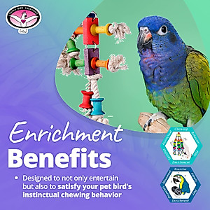 Super Bird Creations SB468 Dancing Spools Bird Toy, Medium Bird Size, 13" x 8" x 2"