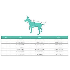 FuzzYard Naughty Ginger Christmas Themed Gingerbread Man Dog Pajamas (Size 6)