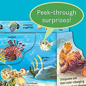 Peek-a-Flap Ocean Children's Lift-a-Flap Board Book for Children Learning about the Sea and Water Animals, Ages 2-5