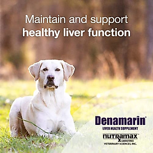 Nutramax Denamarin Liver Health Supplement for Dogs, With S-Adenosylmethionine (SAMe) and Silybin, 75 Chewable Tablets
