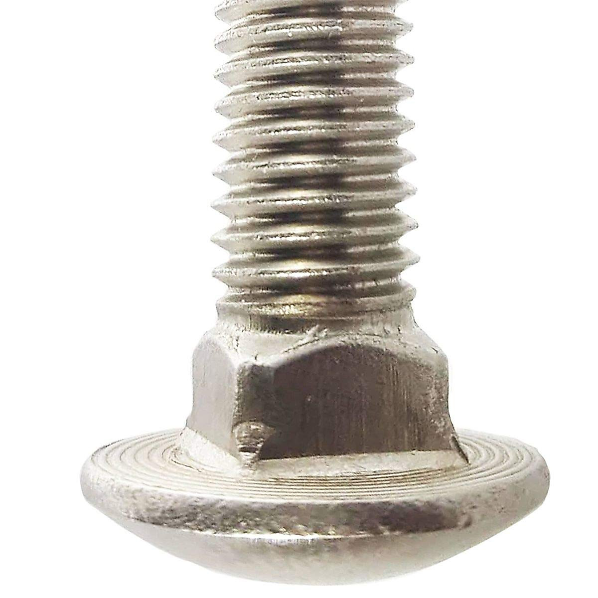 Carriage Bolt Stainless Steel 1/4-20 X 5/8 Qty 25