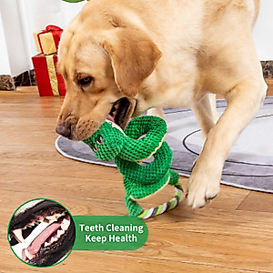 EASTPET Squeaky Dog Toys with Pull Rope,Large Dog Tug of War Toy,Medium/Large Breed,Toys for Dental Health