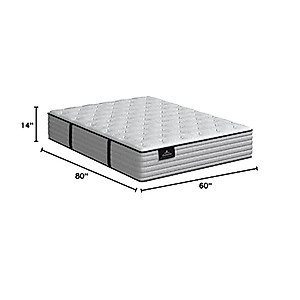 Kingsdown Passions Aspiration Plush Mattress, Queen