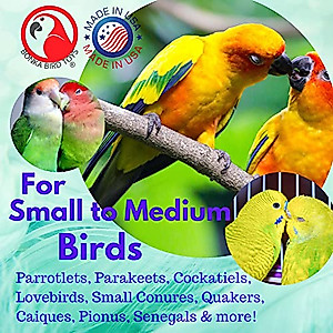 Bonka Bird Toys 1931 Three Cake Colorful Shredding Foraging Treat Natural Sola Conures Cockatiels Parakeets and Other Similar Birds