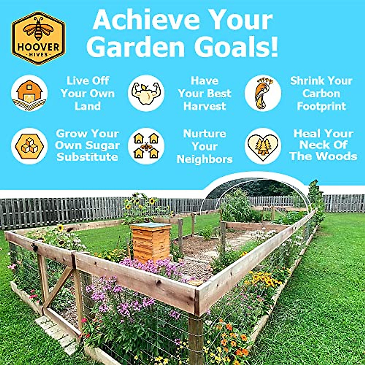 Hoover Hives 8 Frame Beehive Kit - Dipped in 100% Beeswax Includes Wooden Frames & Waxed Foundations (2 Deep Boxes, 1 Medium Box)
