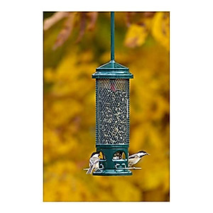 Squirrel Buster Legacy Squirrel-proof Bird Feeder w/4 Metal Perches, 2.6-pound Seed Capacity