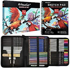 Artownlar 72 Pack Drawing Sketching Set with 8x11 Sketchbook | Pro Art Supplies Kit for Artist Adults Teens Beginners | Video Tutorial,Charcoal, Watercolor & Metallic Colored Pencils in Gift Case